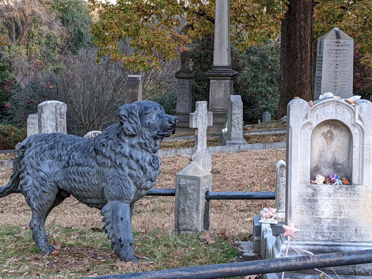 The Legend of the iron dog – Nightmares of The Month